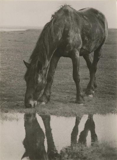 Pinakothek der Moderne : Albert Renger-Patzsch - The Eye of Photography ...