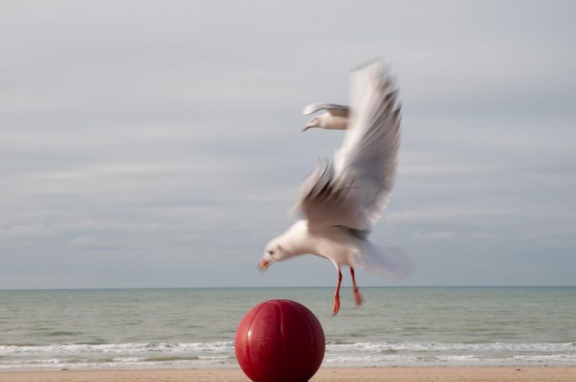 Didier Lefebvre - The Eye of Photography Magazine