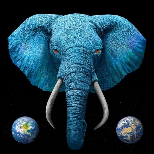 Wanrooij Gallery : Koh Sang Woo : Wild in Blue - The Eye of Photography ...