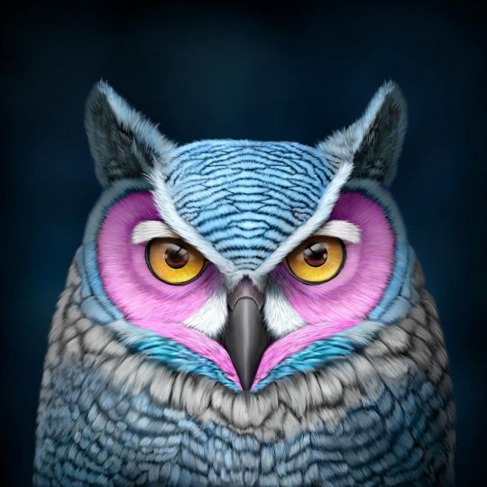 Wanrooij Gallery : Koh Sang Woo : Wild in Blue - The Eye of Photography ...