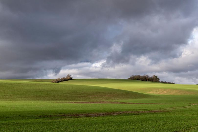 Jean-Pierre Gilson : Jean-Pierre Gilson: Faces & Landscapes of ...