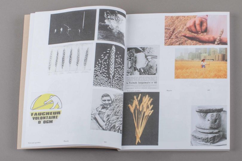 The Book Column: Our Daily Bread by Lalie Thébault Maviel - The Eye of ...
