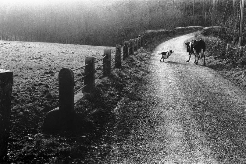 Peter Fetterman Gallery : Roger A. Deakins - The Eye of Photography ...