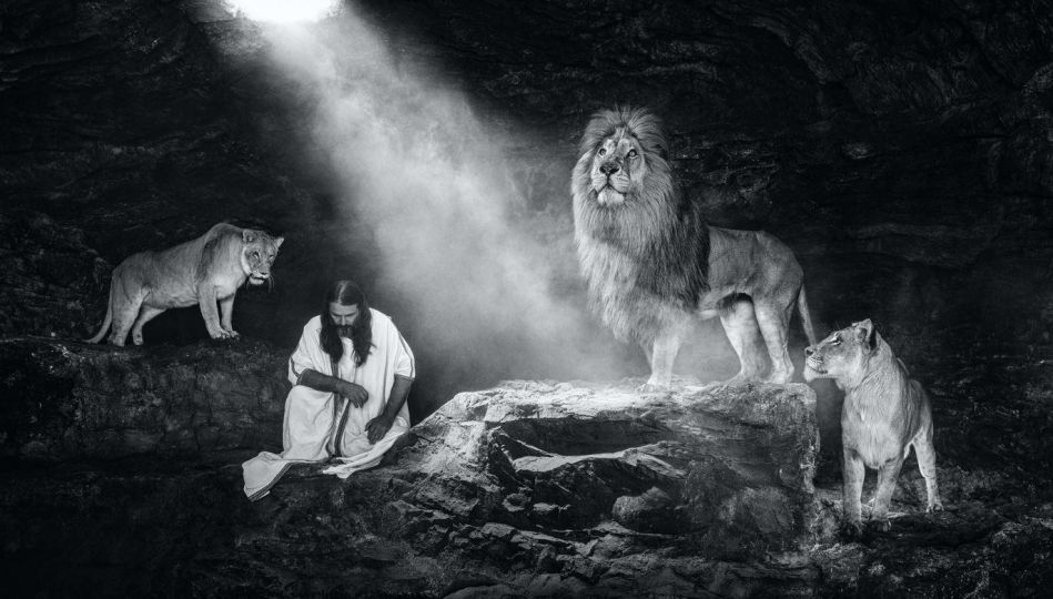 A.Gallerie : Rizzoli : David Yarrow : Storytelling - The Eye of ...