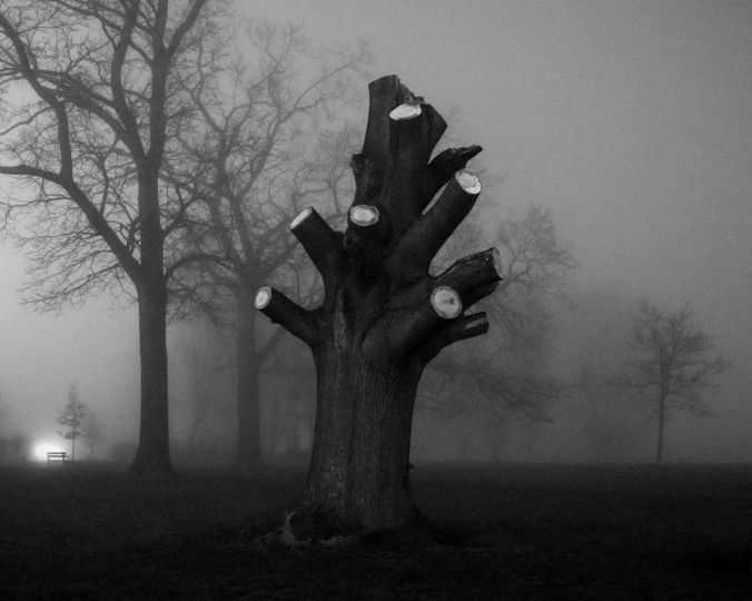 Lido Books : Robert Darch : The Island - L'Œil de la Photographie Magazine