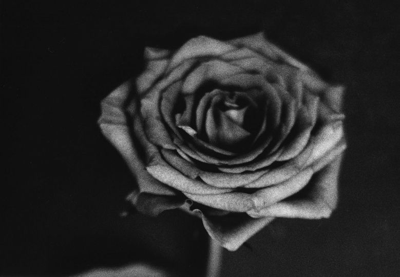 Kahmann Gallery & DUB Gallery : X-Mas - The Eye of Photography Magazine