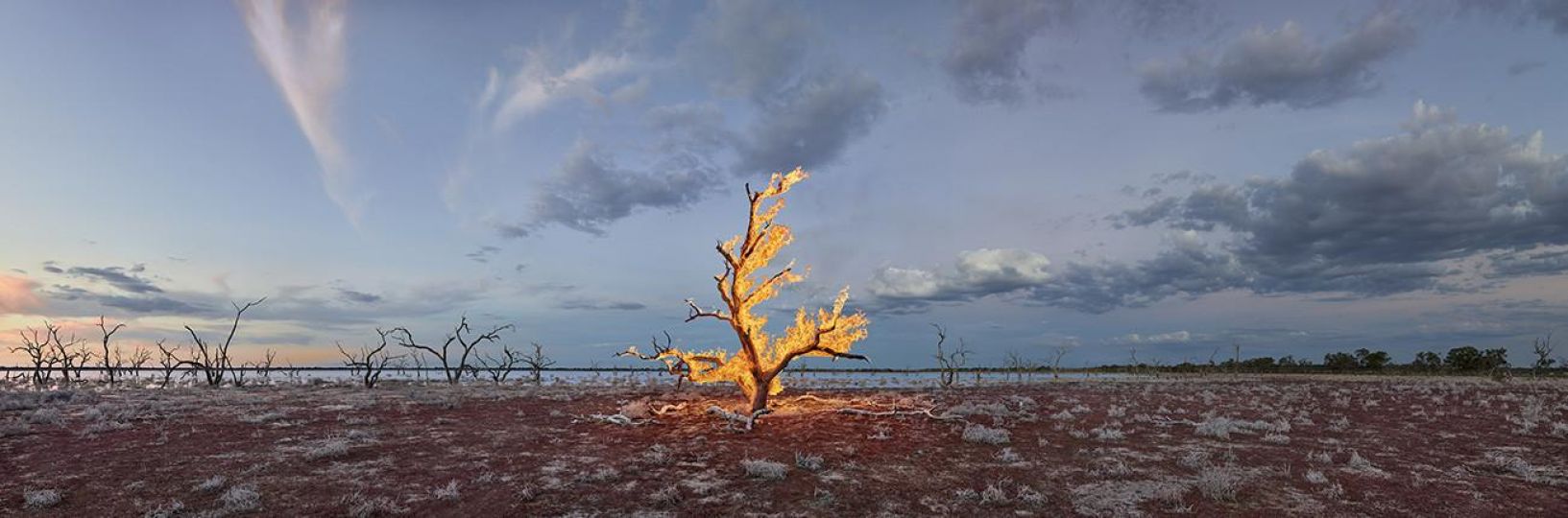 Hamiltons Gallery : Murray Fredericks : Blaze - The Eye of Photography ...
