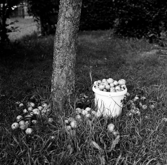 Anzenberger Gallery : Regina Anzenberger : Under the Apple Tree - The ...