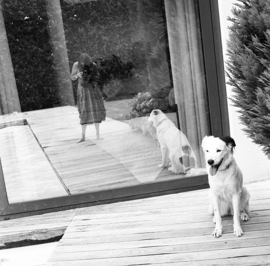 Anzenberger Gallery : Regina Anzenberger : Under the Apple Tree - L'Œil ...