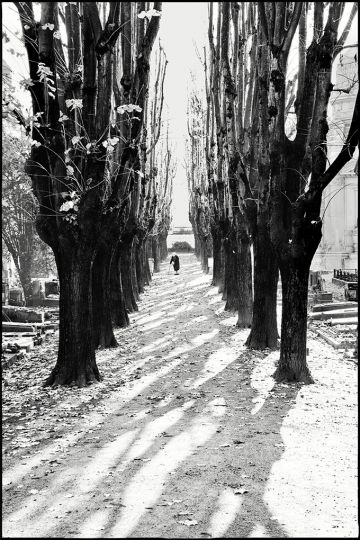 Marco Campi - The Eye of Photography Magazine