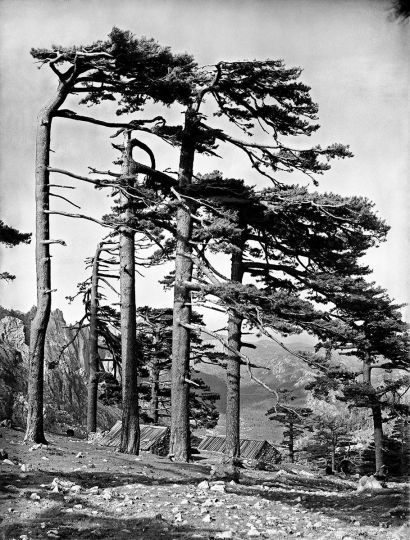 Trans Photographic Press : Kertész in Corsica - The Eye of Photography ...