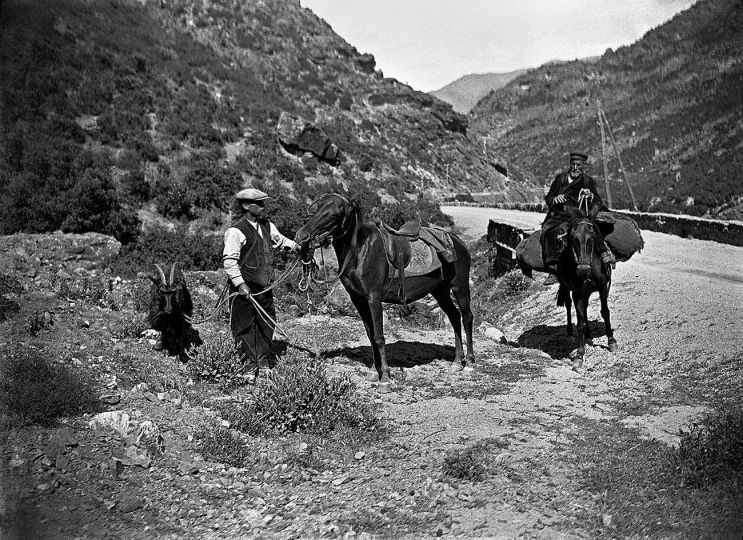 Trans Photographic Press : Kertész in Corsica - The Eye of Photography ...