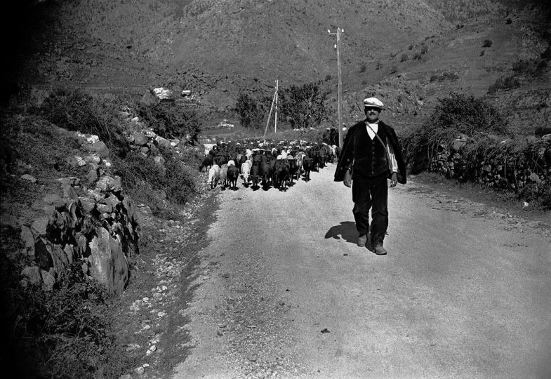 Trans Photographic Press : Kertész in Corsica - The Eye of Photography ...