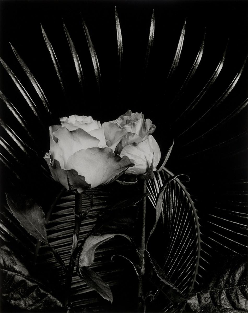 Dale M Reid - The Eye of Photography Magazine