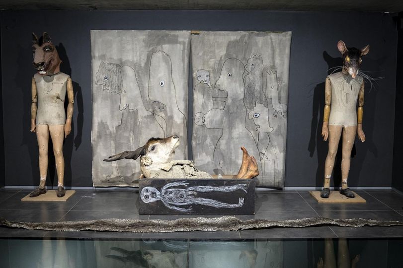 Inside Out Center for the Arts : Roger Ballen : End of the Game - The ...