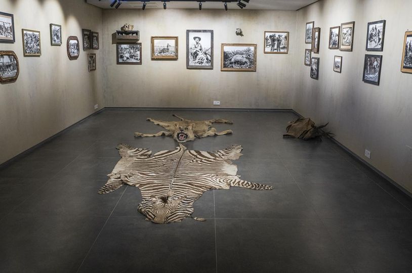 Inside Out Center for the Arts : Roger Ballen : End of the Game - The ...