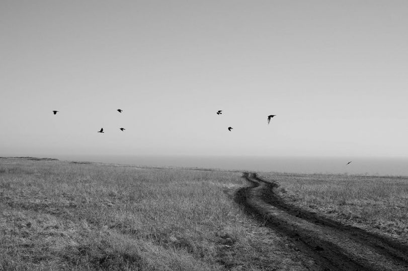 Albumen Gallery : Jonathan Moore : You cannot change your skin - The ...