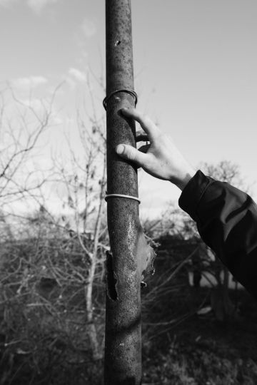 Albumen Gallery : Jonathan Moore : You cannot change your skin - The ...
