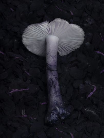 Nika Sandler - The Eye of Photography Magazine