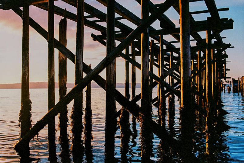 Albumen Gallery : Rachel Wolfe : Resplendence - The Eye of Photography ...