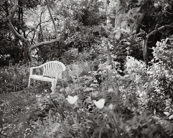 Dewi Lewis Publishing : Pictures from the Garden - The Eye of ...