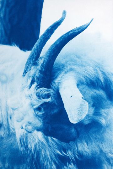 Nyima Marin : L’Adieu du Minotaure - The Eye of Photography Magazine