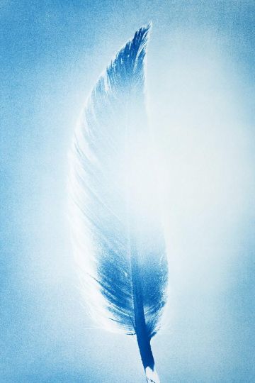 Nyima Marin : L’Adieu du Minotaure - The Eye of Photography Magazine
