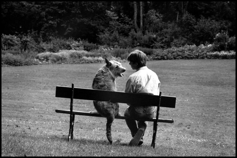 Elliott Erwitt : The Dogs - The Eye of Photography Magazine