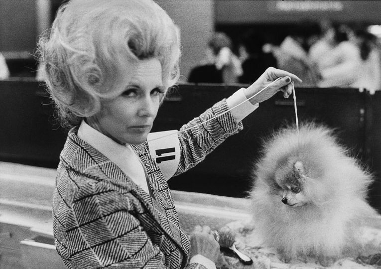 Elliott Erwitt : The Dogs - The Eye of Photography Magazine