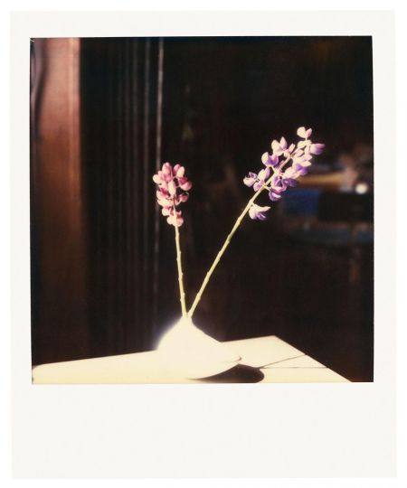 Steidl : Ralph Ellison Photographer - The Eye of Photography Magazine