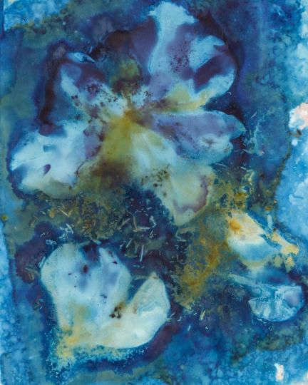 Phyllis Schwartz - The Eye of Photography Magazine