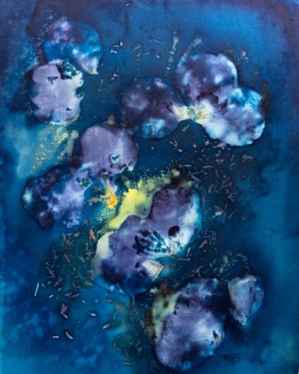 Phyllis Schwartz - The Eye of Photography Magazine
