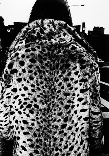 C/O Berlin : Daido Moriyama - The Eye of Photography Magazine