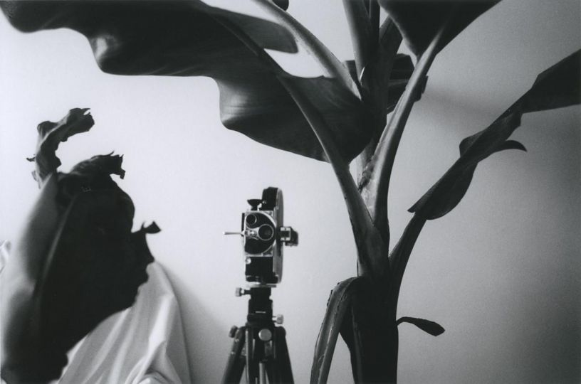 KW Institute for Contemporary Art : Hervé Guibert : This and More - The ...