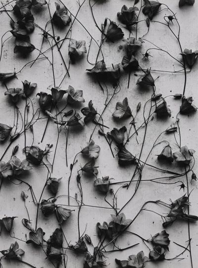 Arles 2023 : Jean-Pierre Sudre - The Eye of Photography Magazine