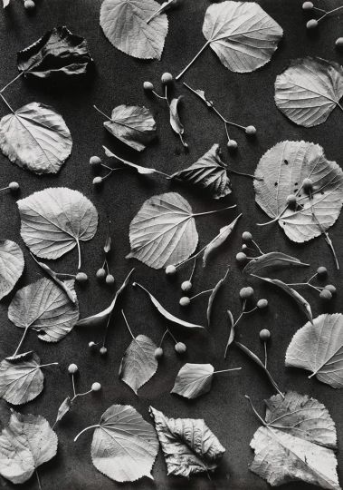 Arles 2023 : Jean-Pierre Sudre - The Eye of Photography Magazine