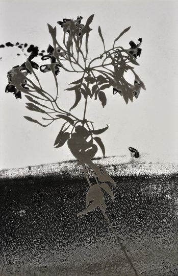 Arles 2023 : Jean-Pierre Sudre - The Eye of Photography Magazine