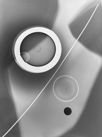 Laurence Miller Gallery : Michael Spano : Photograms - The Eye of ...