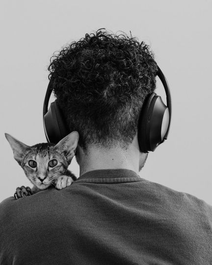 SI FEST is back in Savignano: 32nd edition - The Eye of Photography ...