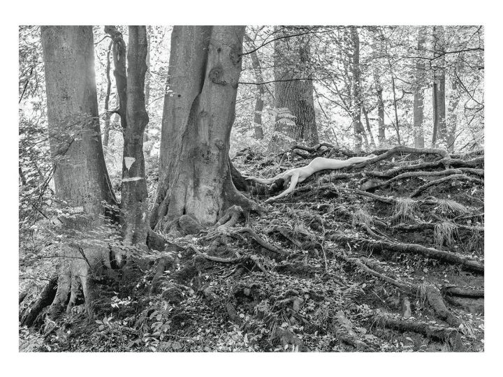 Galerie de l’Est : VAM / Jean-Pierre Gilson: The moon has nothing to ...