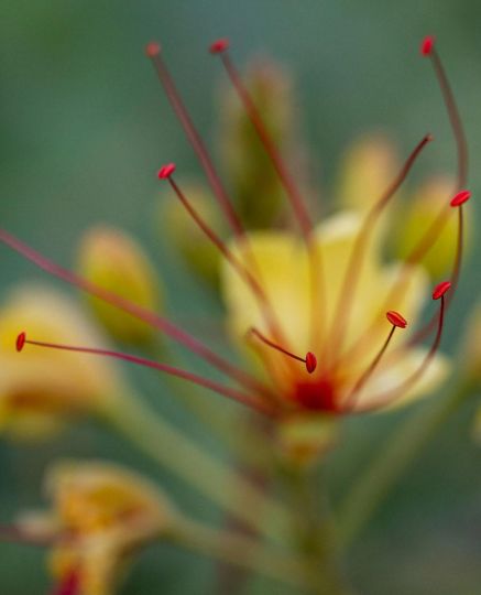 Summer is here ! : Cyndi Bemel - The Eye of Photography Magazine