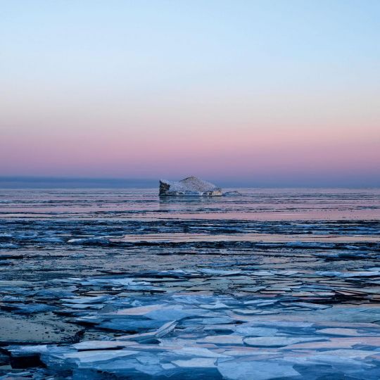 Steidl : Lucinda Devlin : Frames of Reference - The Eye of Photography ...