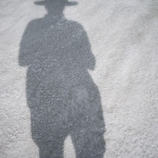 Steidl : Lucinda Devlin : Frames of Reference - The Eye of Photography ...
