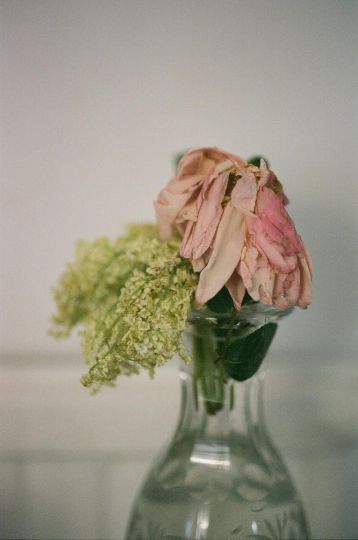 JBE Books : Lina Scheynius : Opus 12, 13 & 14 - The Eye of Photography ...