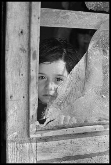 Peter Turnley : The Other California, 1975 - The Eye of Photography ...