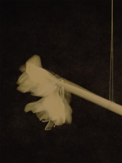 Kahmann Gallery x des Bouvrie : Innocence - The Eye of Photography Magazine
