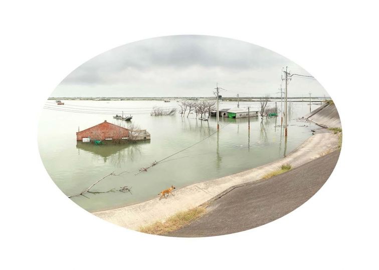 Photo Phnom Penh Festival 2023 : Yang Shun-Fa - The Eye of Photography ...