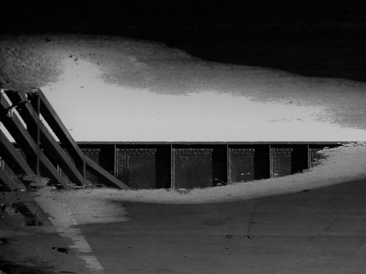 Raju Peddada : Optical Weeds - The Eye of Photography Magazine
