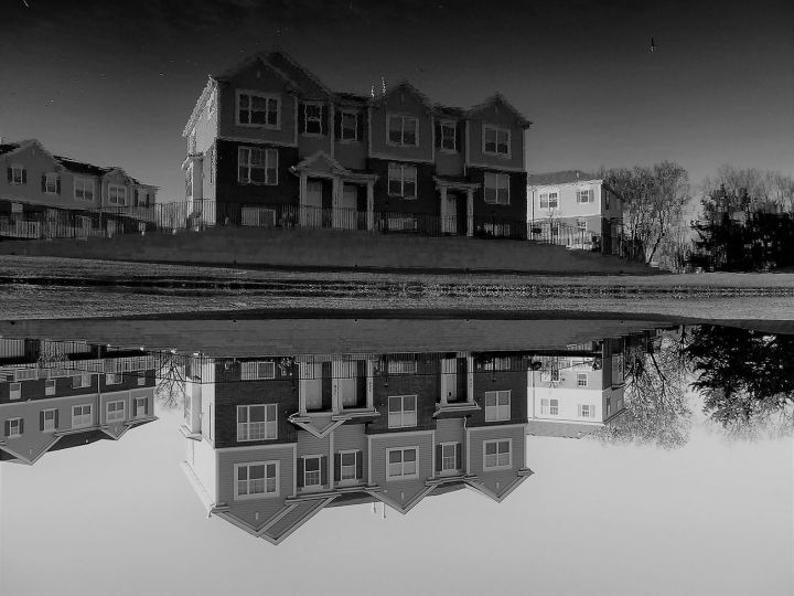 Raju Peddada : Optical Weeds - The Eye of Photography Magazine