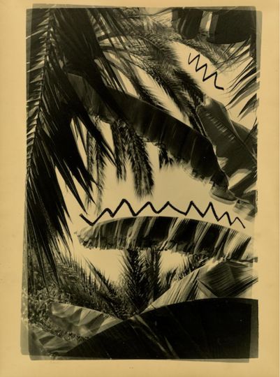 Gallery FIFTY ONE : Bruno V. Roels : Woke Up Laughing - The Eye of ...